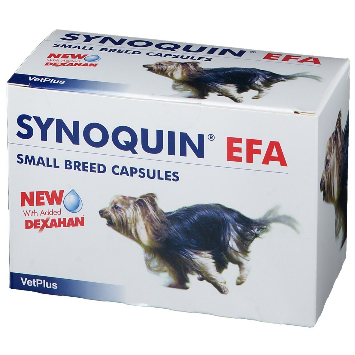 SYNOQUIN EFA® Capsules pour petit chien 90 pc(s) - Redcare Pharmacie