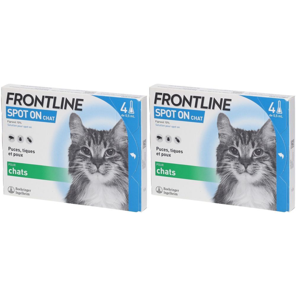 Frontline® Spot on Chat 2x4 pc(s) - Redcare Pharmacie